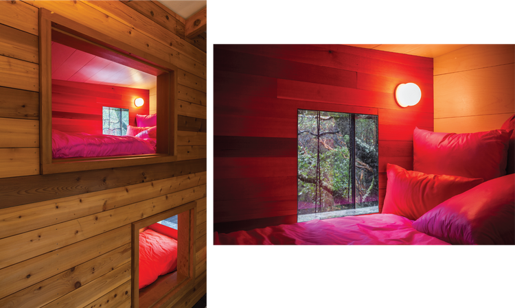 forest house | ENVELOPE